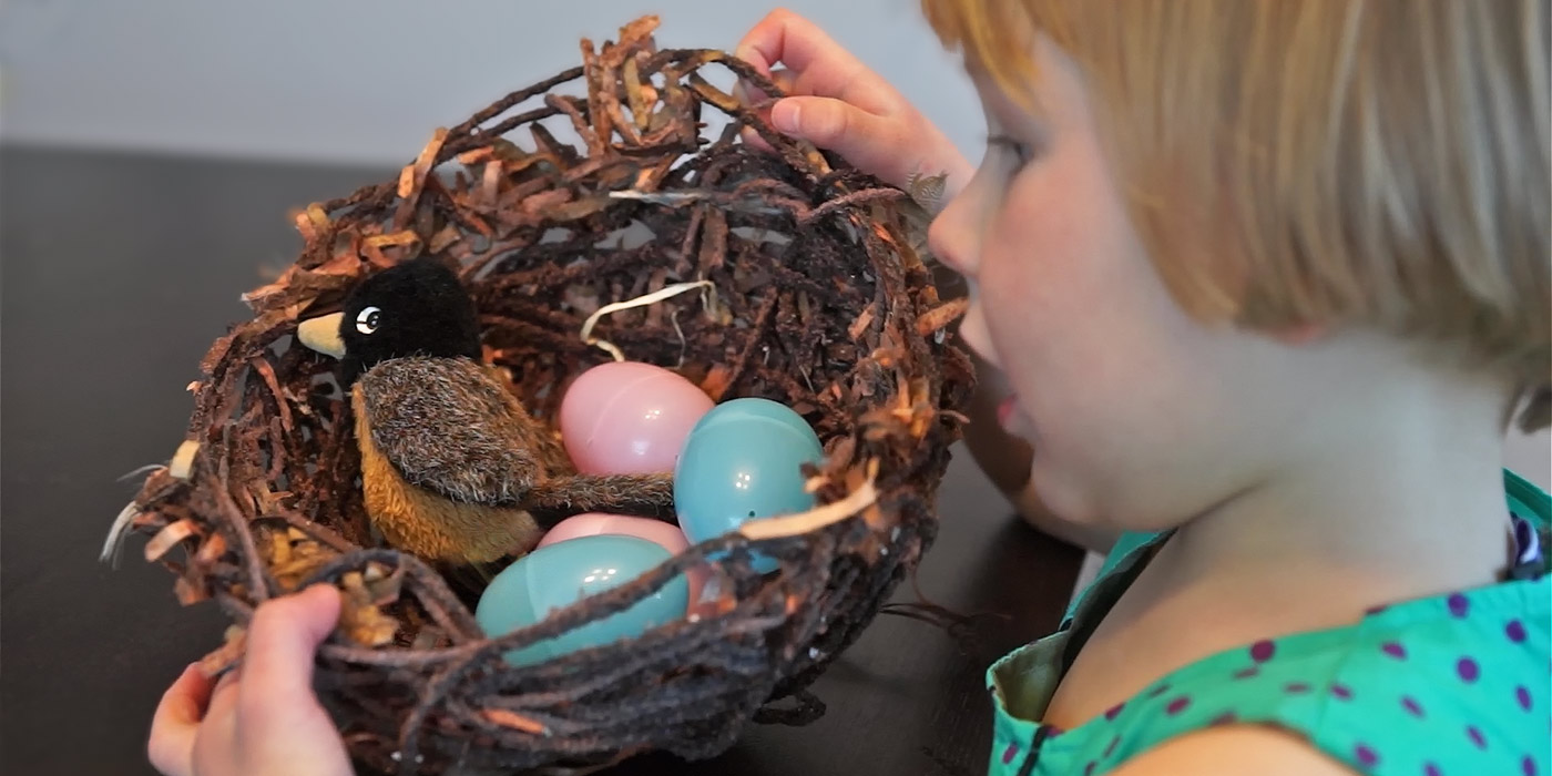  Bird Nest Craft