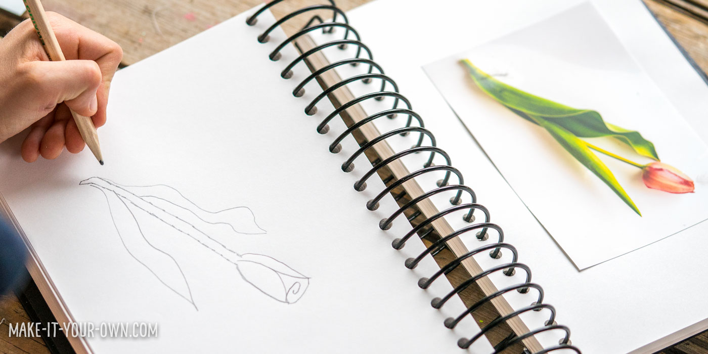 » Drawing from Photographs: Nature Finds