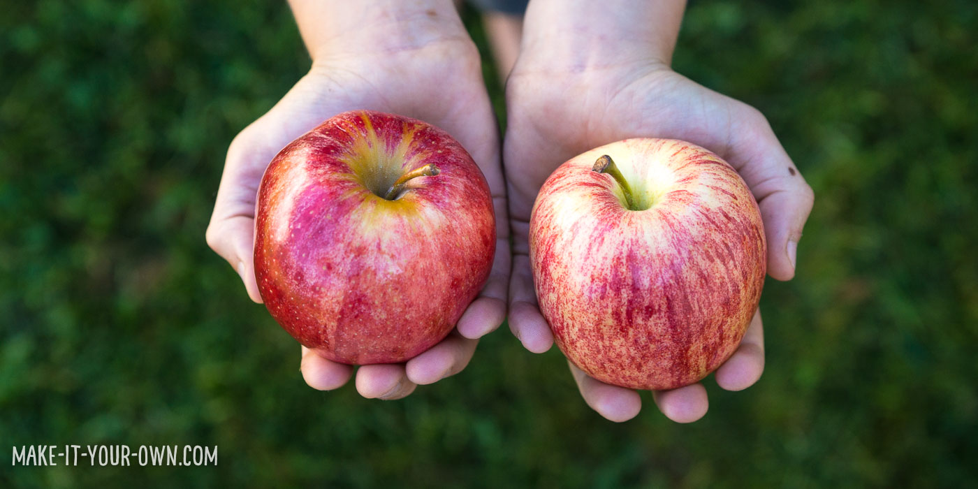 » 17 Apple Projects